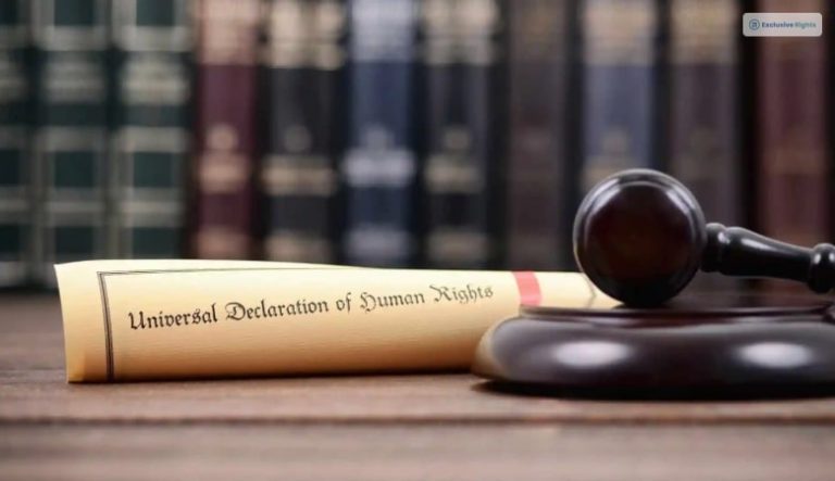 What Does Freedom From Discrimination Mean? Exclusive Rights